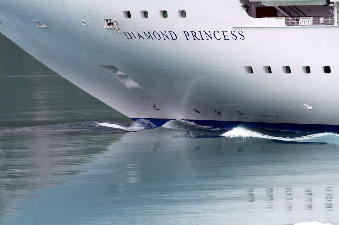 Diamond Princess Cruise Ship & Deck Plans